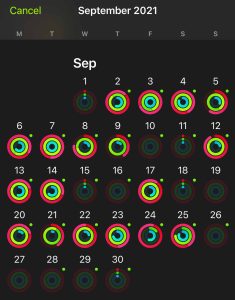 How to track steps, distance, and floors climbed on your Apple Watch ...