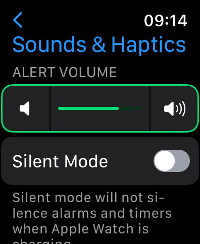 How to get your Apple Watch to tell you the time out loud or chime on ...
