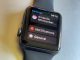 How to check the Apple ID in use on your Apple Watch - MyHealthyApple