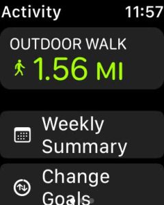 How to track steps, distance, and floors climbed on your Apple Watch ...