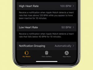 How to turn on high or low heart rate notifications and other alerts on ...