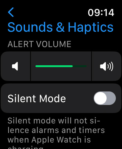 How to get your Apple Watch to tell you the time out loud or chime on ...