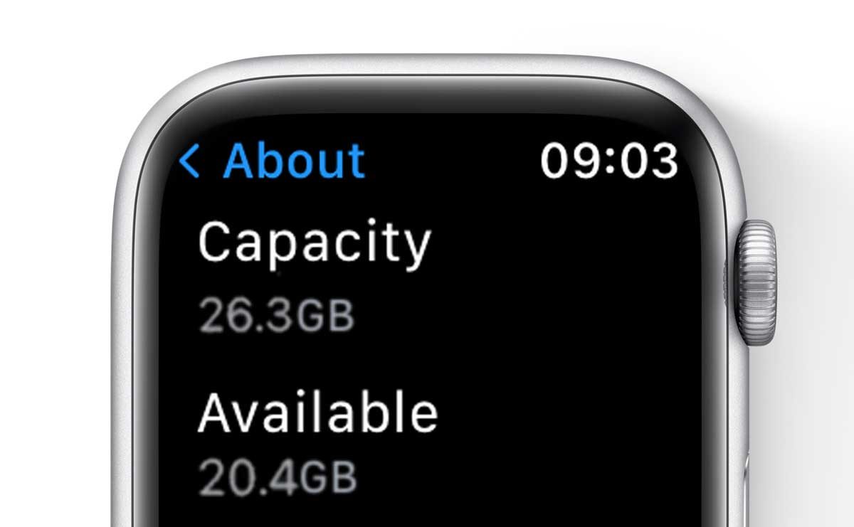 Confused about a low Apple Watch Storage Capacity? You’re not alone ...