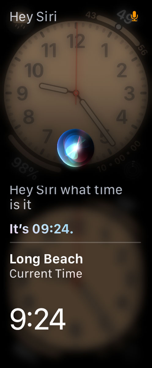 How to get your Apple Watch to tell you the time out loud or chime on ...