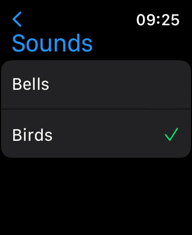 How to get your Apple Watch to tell you the time out loud or chime on ...