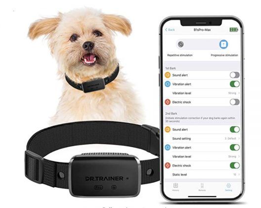 Best 3 smart collars for training your dog - MyHealthyApple