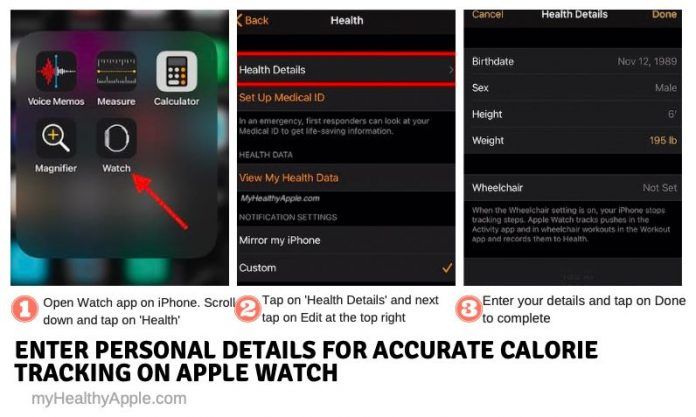 Move Calories vs Total Calories on Apple Watch. Manage both and stay ...