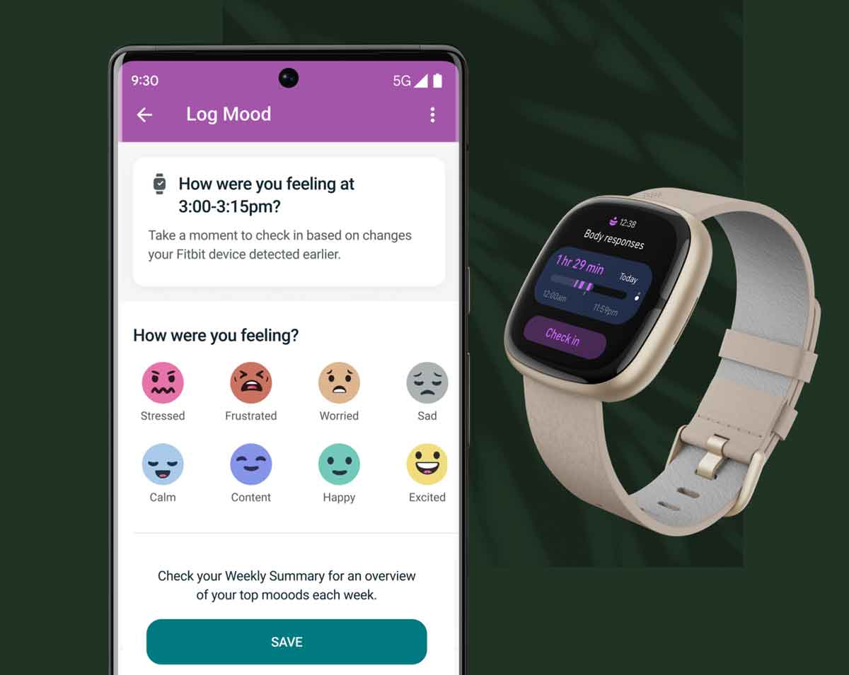 Complete Guide to Fitbit Sense Stress Management features - MyHealthyApple