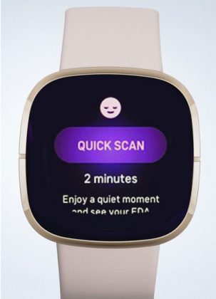 Complete Guide to Fitbit Sense Stress Management features - MyHealthyApple
