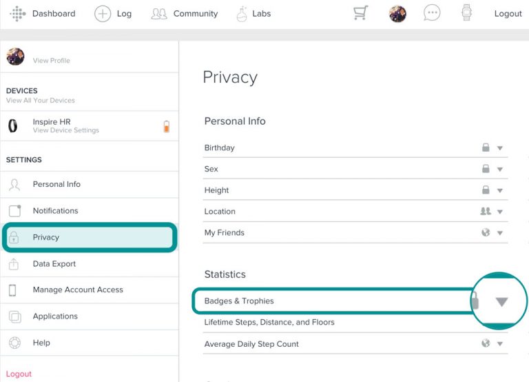 Want or earned a badge or lifetime badge on Fitbit? Learn all about ...