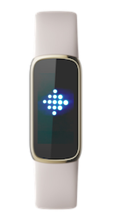 Is your Fitbit stuck on the Fitbit logo? Let's fix it - MyHealthyApple