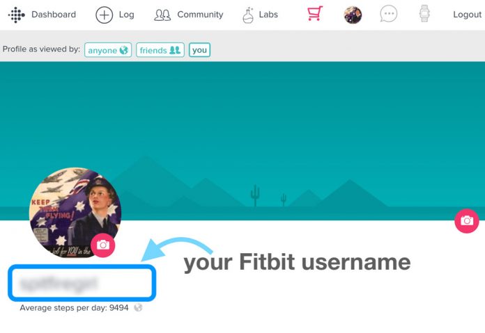 How to find, set, or change your Fitbit username and ID - MyHealthyApple