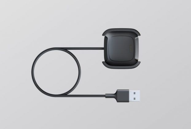 5 best Fitbit Versa series and Sense series chargers - MyHealthyApple