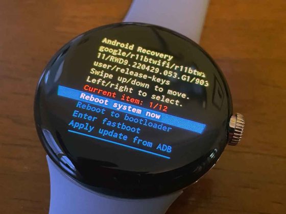 How to force restart (reboot) a Google Pixel Watch to fix issues ...