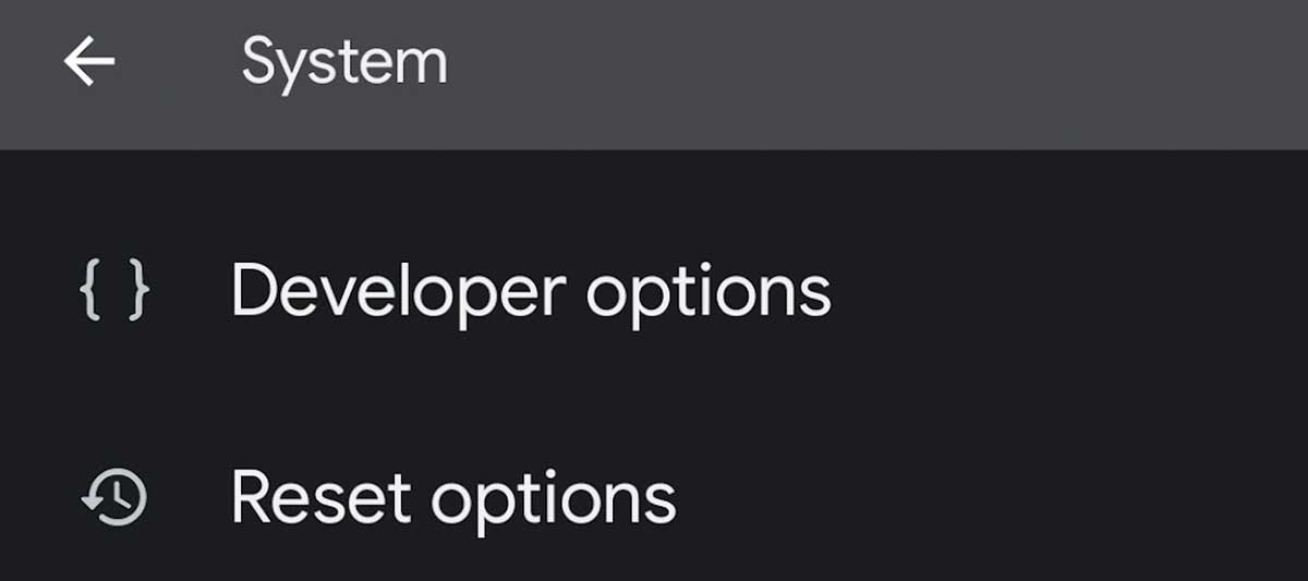 How to take a screenshot on your Google Pixel Watch - MyHealthyApple