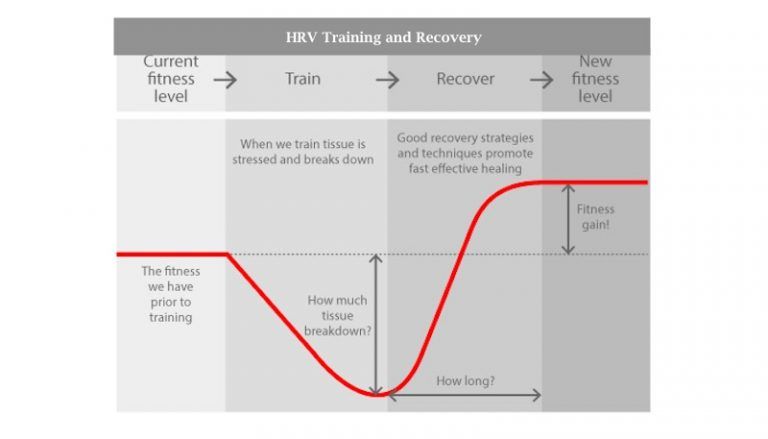 3 best wearables to analyze, train and improve your HRV - MyHealthyApple
