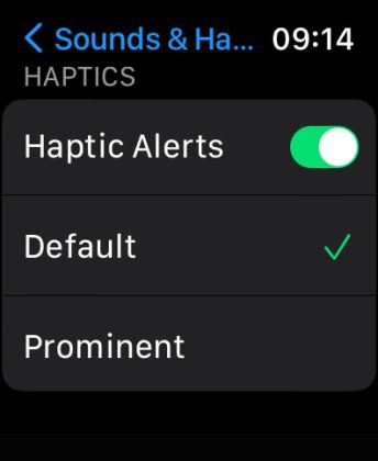 How to get your Apple Watch to tell you the time out loud or chime on ...