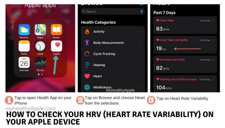 Apple Watch guide to understanding and using HRV (Heart Rate ...