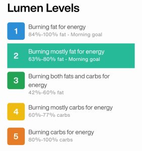 Reviewing Lumen's personal metabolism tracker as a vegan - MyHealthyApple