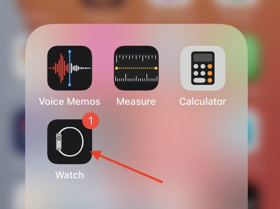 How to check the Apple ID in use on your Apple Watch - MyHealthyApple