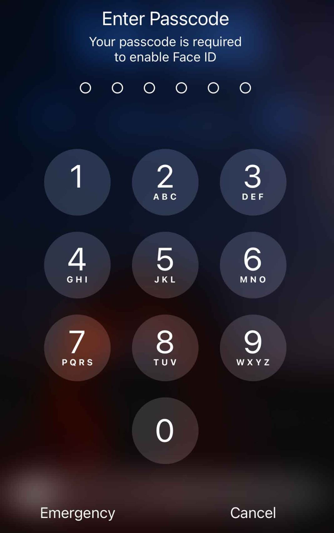 How to create an emergency Medical ID on your Apple Watch and iPhone ...