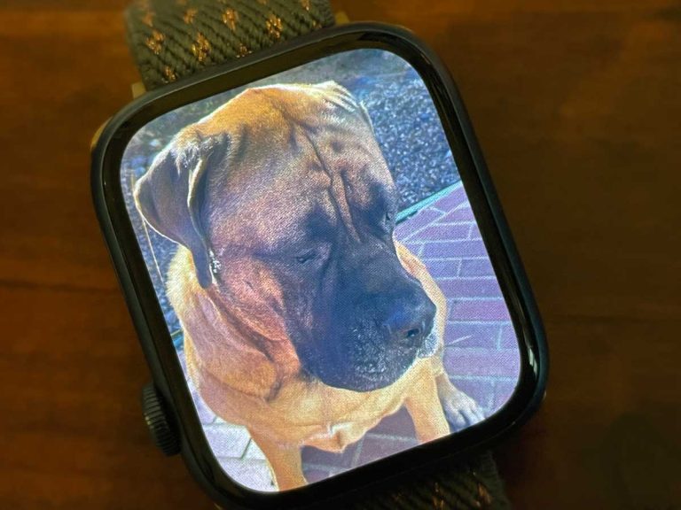 Apple Watch missing your favorite photos? Fix it now - MyHealthyApple