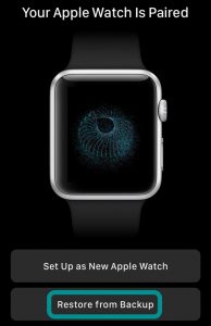 How to pair your Apple watch to a new iPhone without losing health data ...