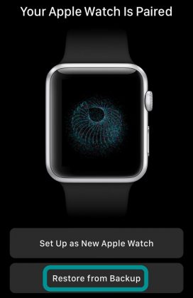 How to pair your Apple watch to a new iPhone without losing health data ...