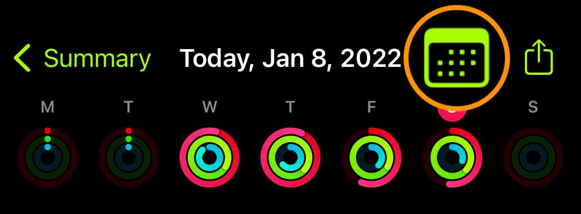 How to track steps, distance, and floors climbed on your Apple Watch ...