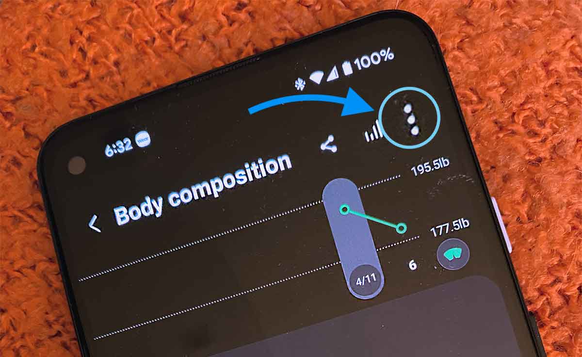 How to use the new ‘Set Targets’ feature for body composition metrics ...