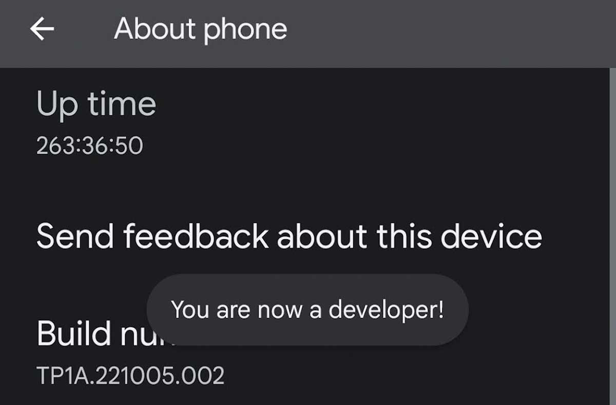 How to take a screenshot on your Google Pixel Watch - MyHealthyApple