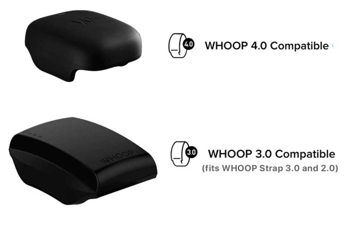 WHOOP strap isn't charging? Tips to fix it - MyHealthyApple