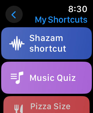 How to use watchOS Shortcuts to supercharge your Apple Watch - MyHealthyApple
